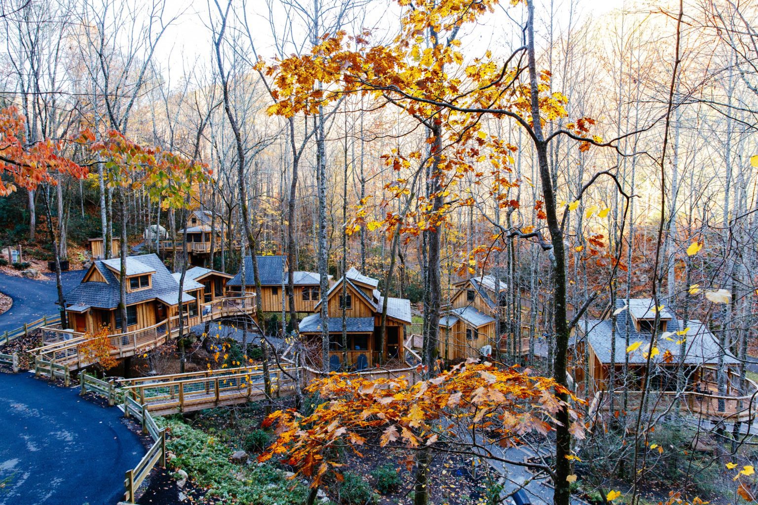 Why Vacation in a Treehouse | Treehouse Grove in Gatlinburg, TN