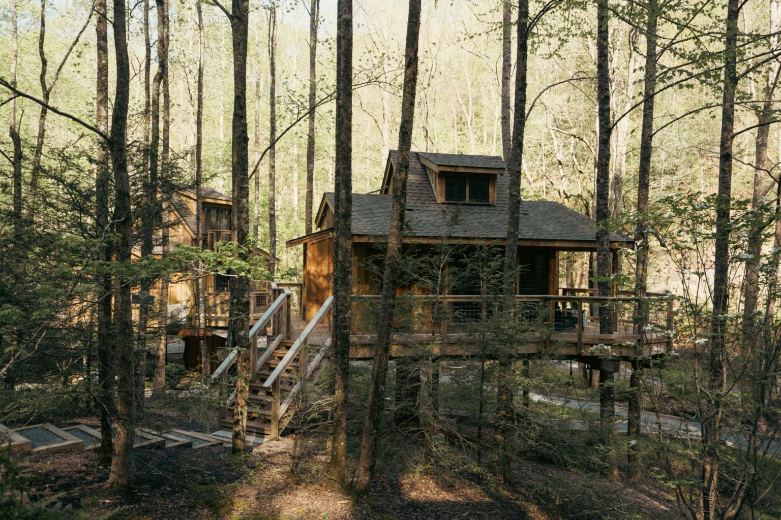 Frequently Asked Questions | Treehouse Grove