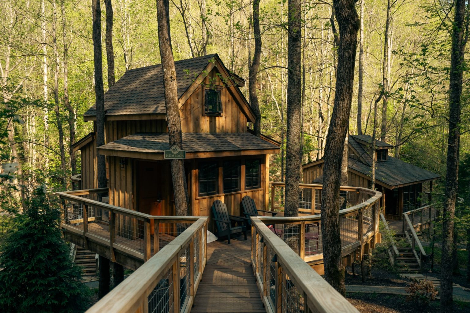 Frequently Asked Questions | Treehouse Grove