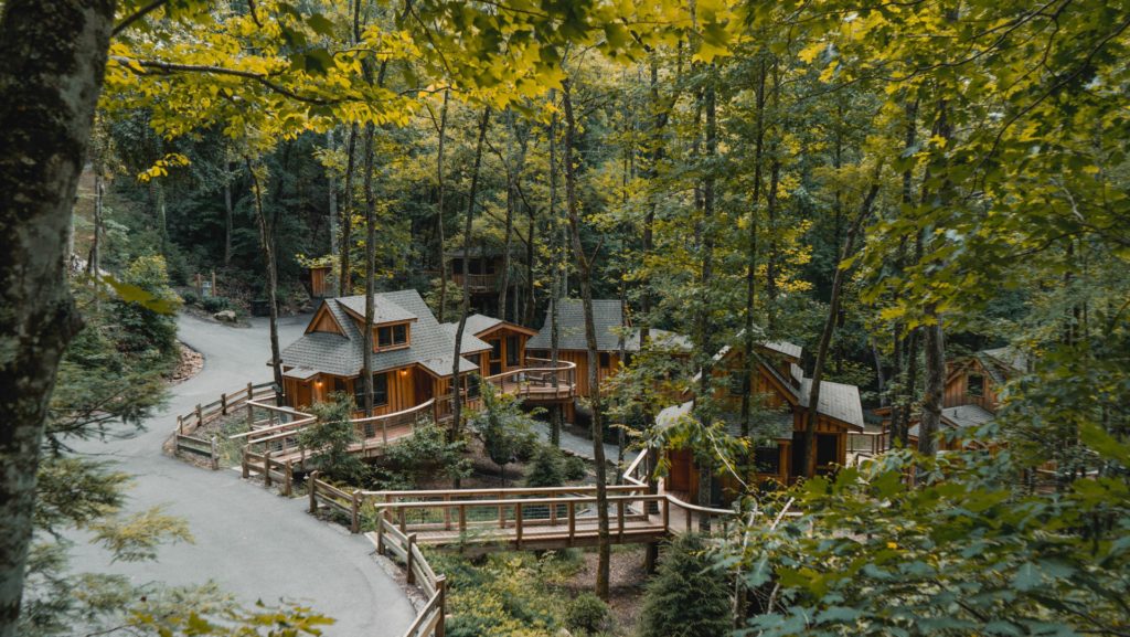 Frequently Asked Questions | Treehouse Grove