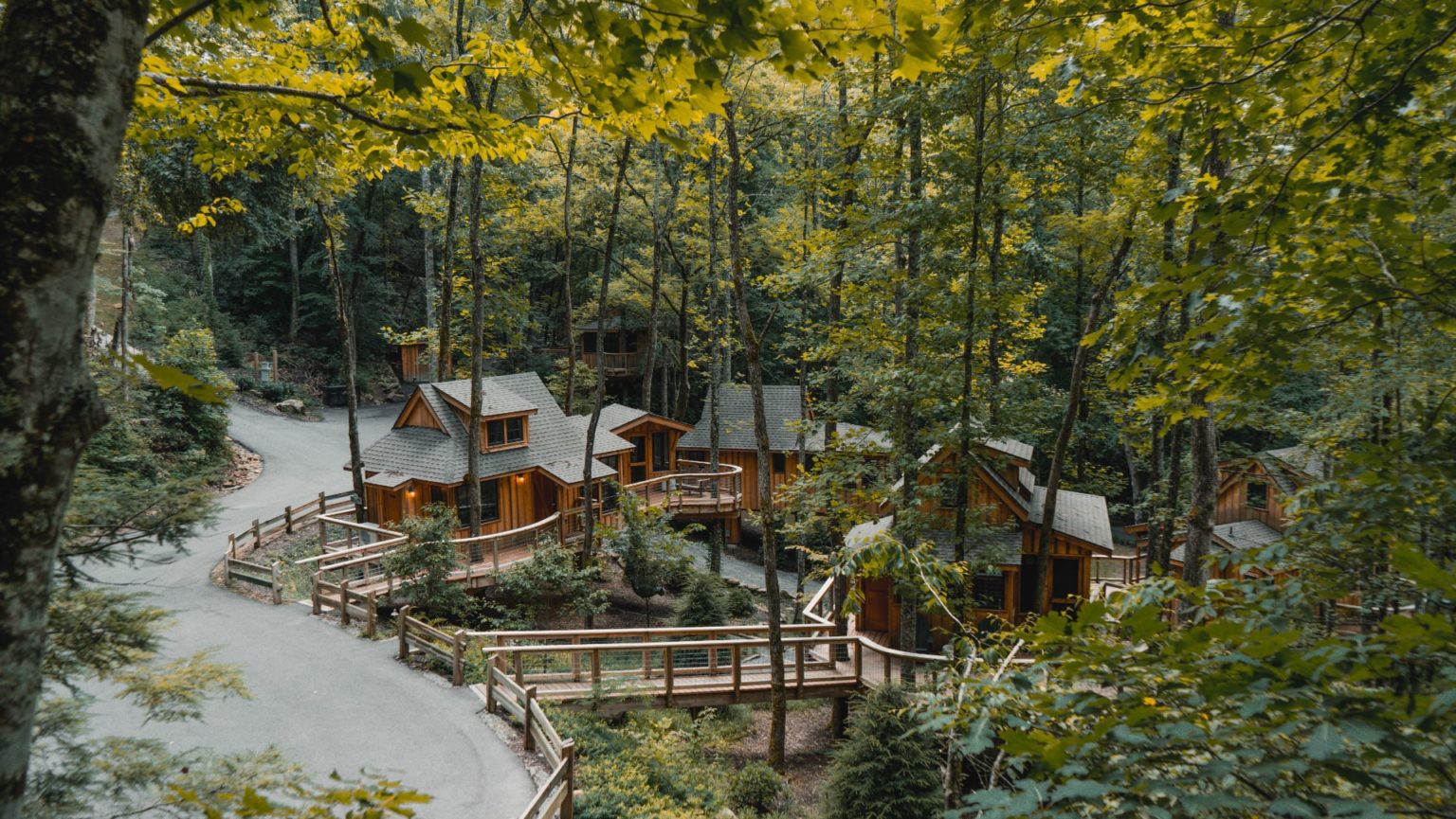Frequently Asked Questions | Treehouse Grove