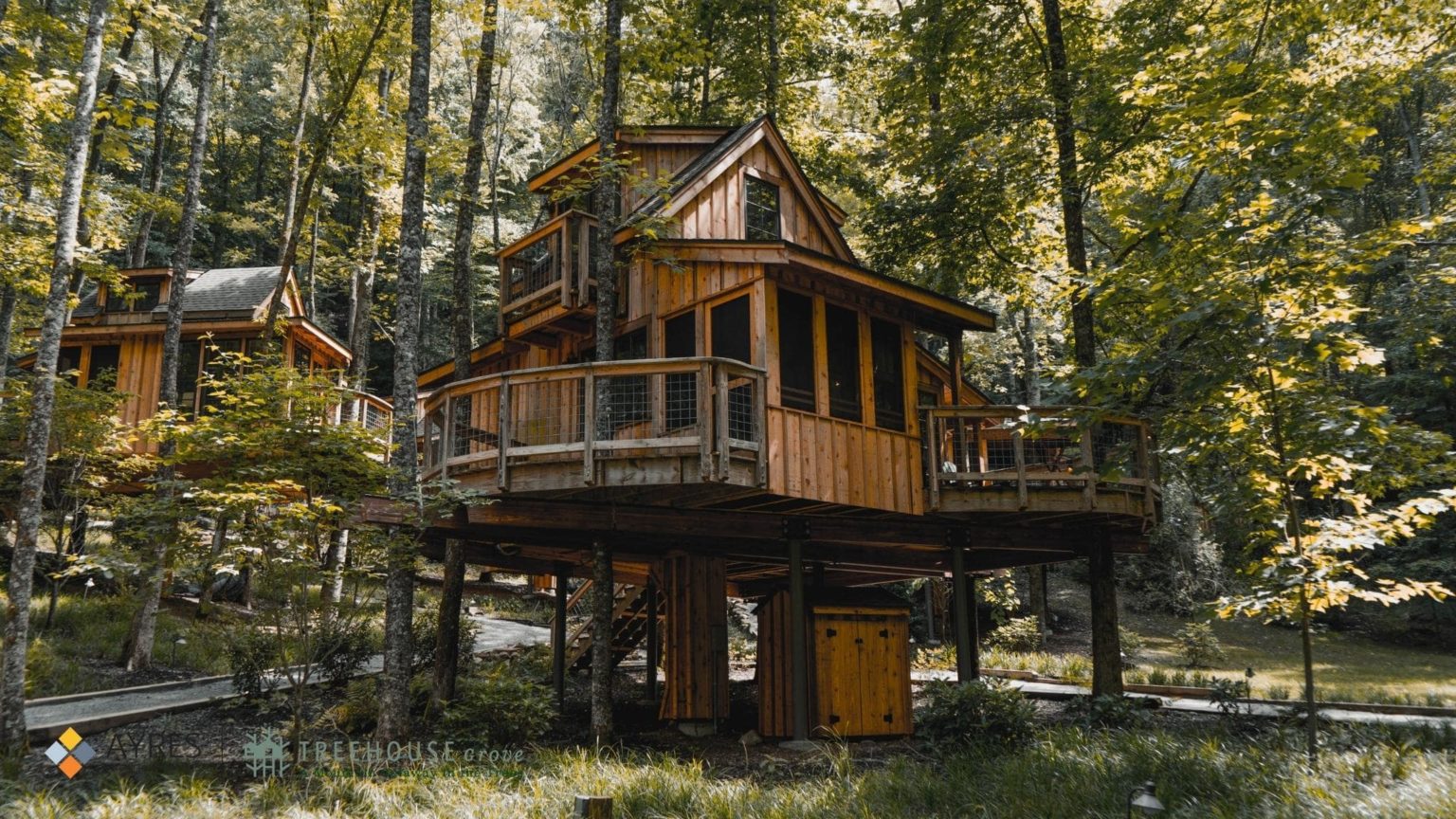 Top 10 Things You Need to Know About Treehouse Grove