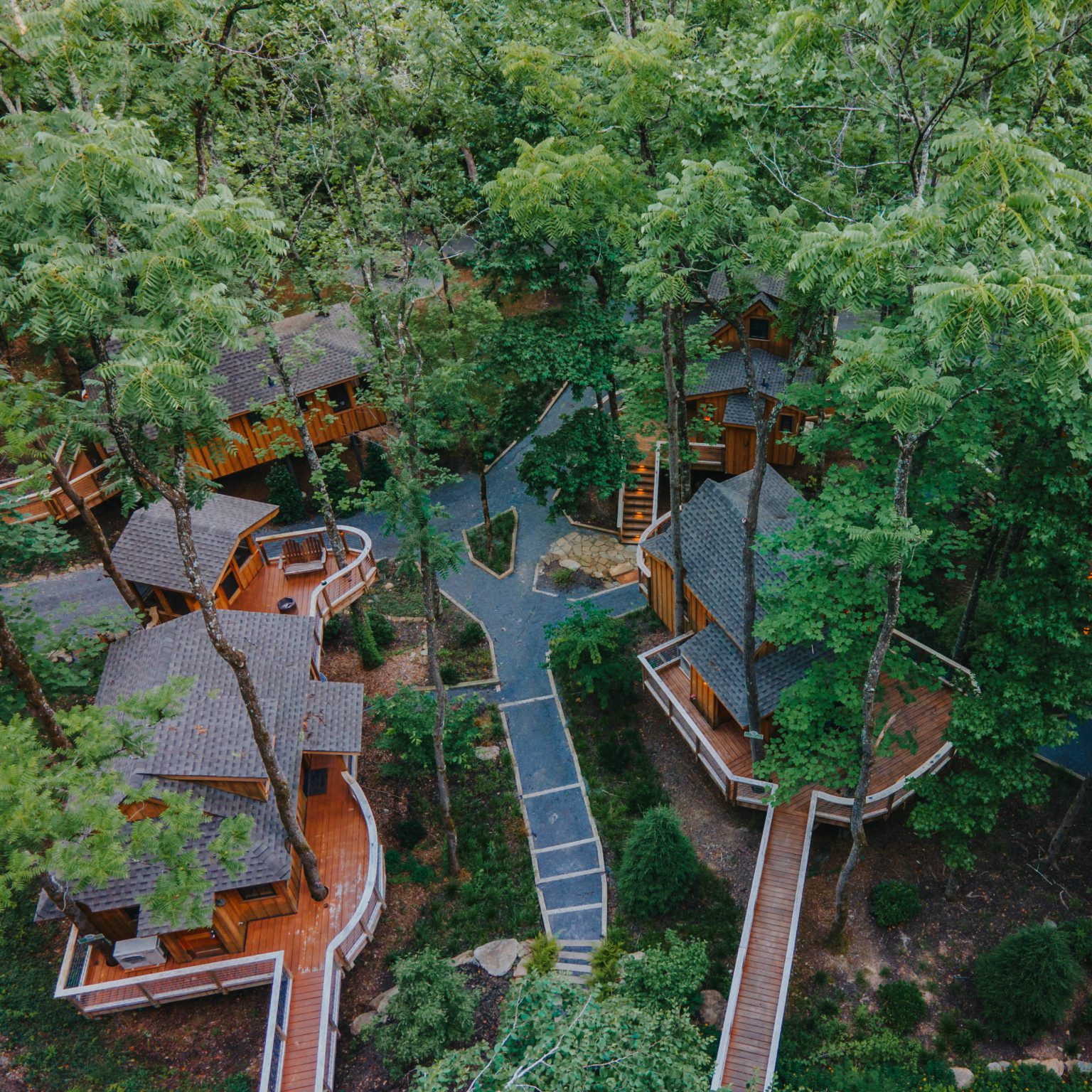 A Mountain Getaway in the Trees | Treehouse Grove in Gatlinburg, TN