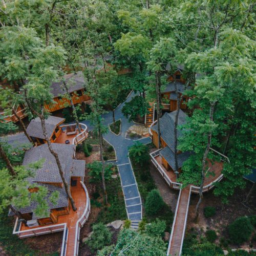 A Mountain Getaway in the Trees | Treehouse Grove in Gatlinburg, TN