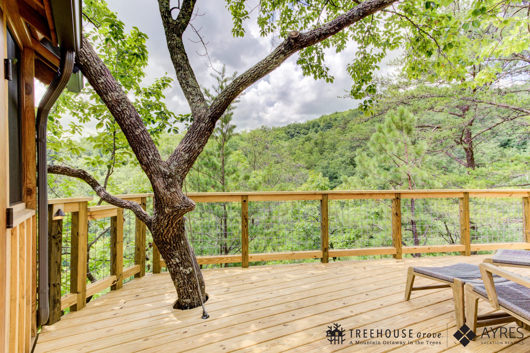 Mountain View Treehouse Rentals - Treehouse Grove at Norton Creek ...
