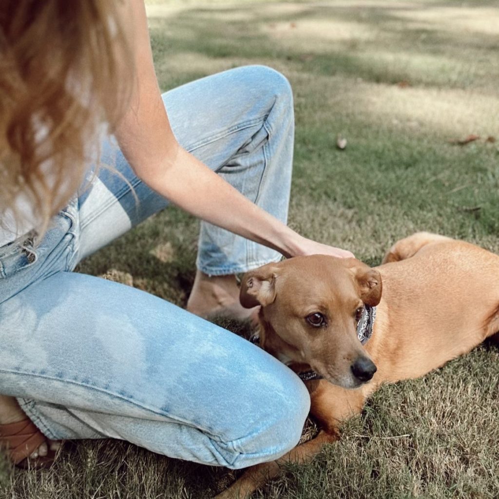 Dog-Friendly Treehouse Rentals | Treehouse Grove in Gatlinburg, TN