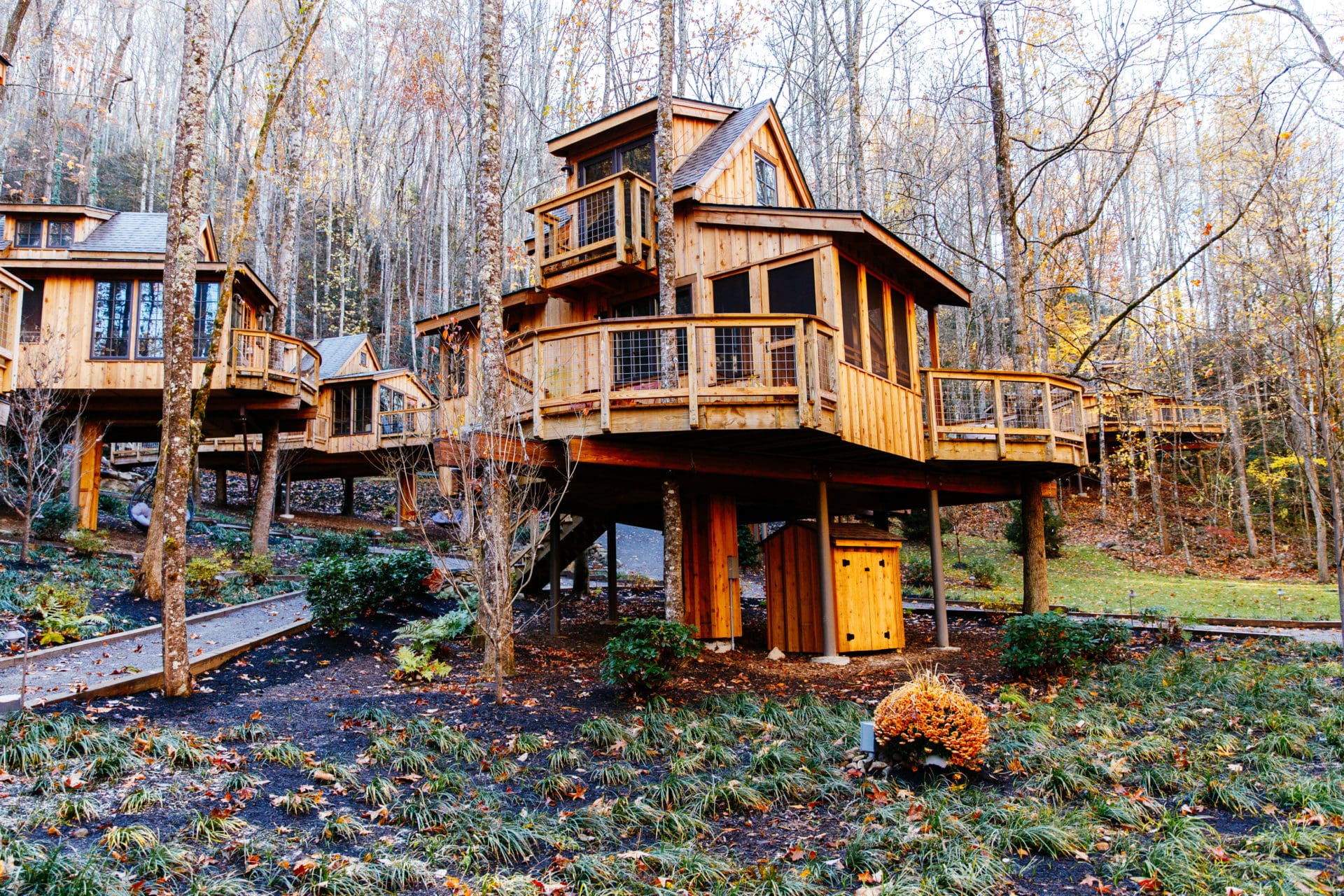 Halloween Deals - Treehouse Grove at Norton Creek | Gatlinburg, TN